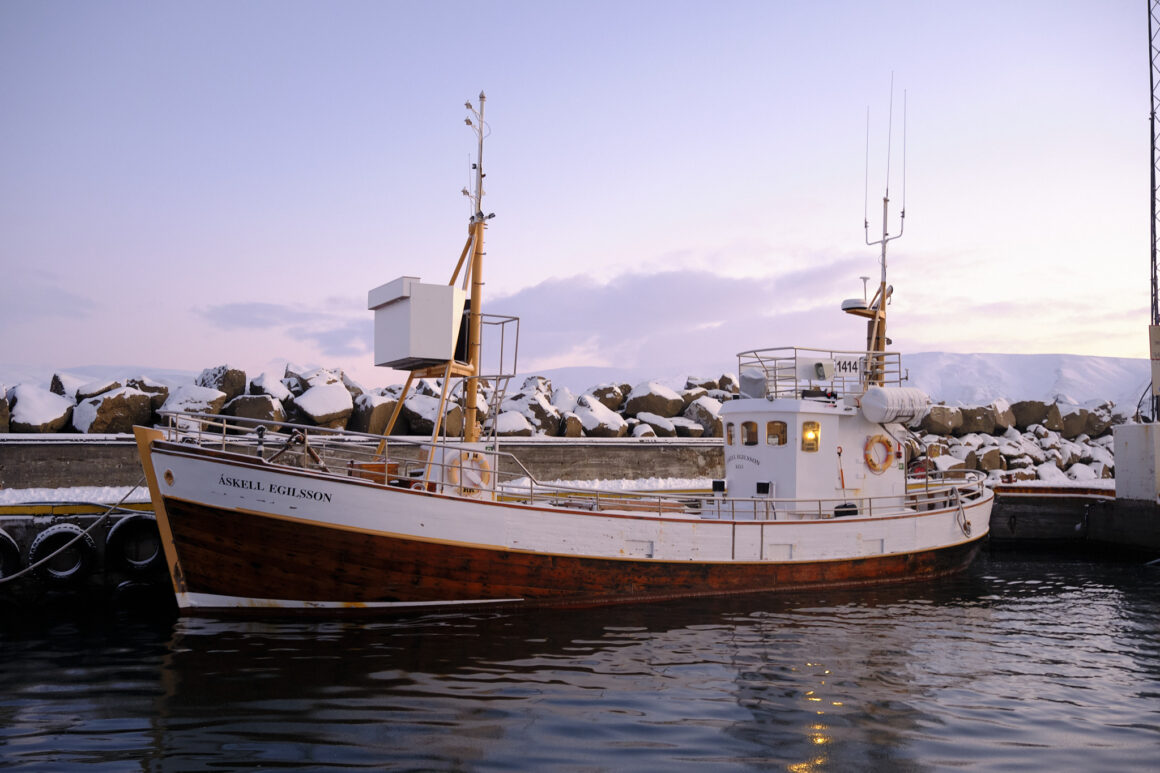 出海观鲸 – An Admirable Pro